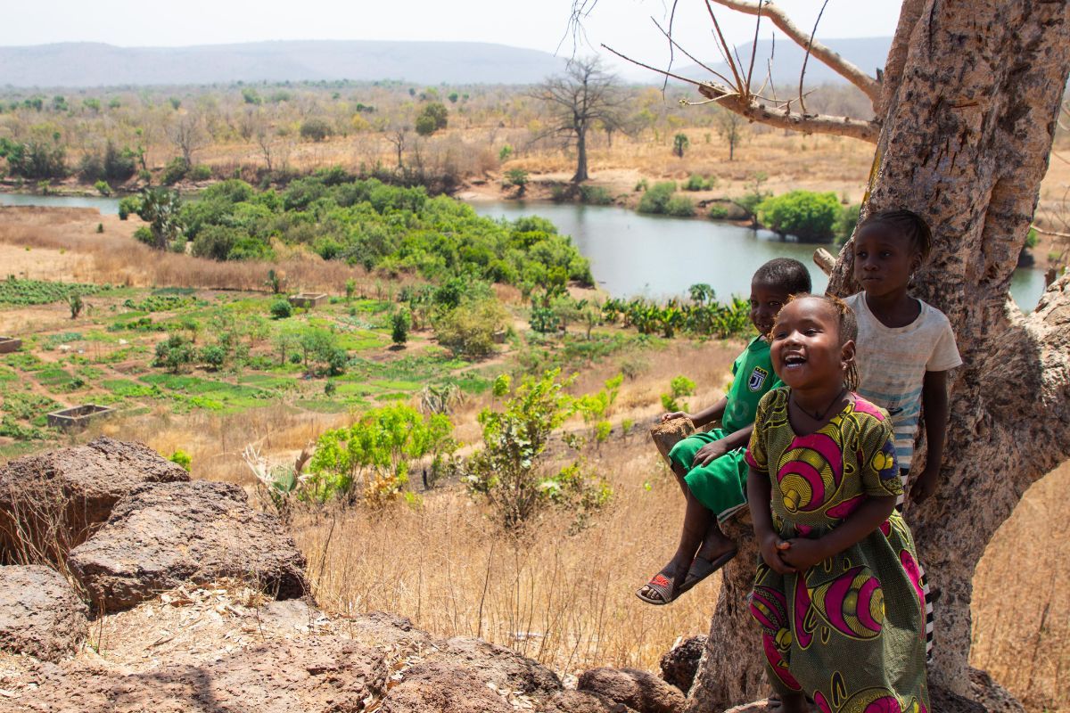Claves básicas para visitar Senegal | Viatges Alemany